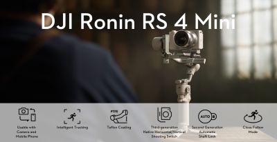 Ronin series